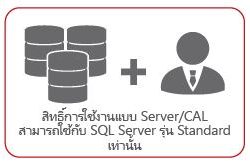 การเลือกซื้อลิขสิทธิ์ Microsoft SQL Server 2017 | ServerProThai.com